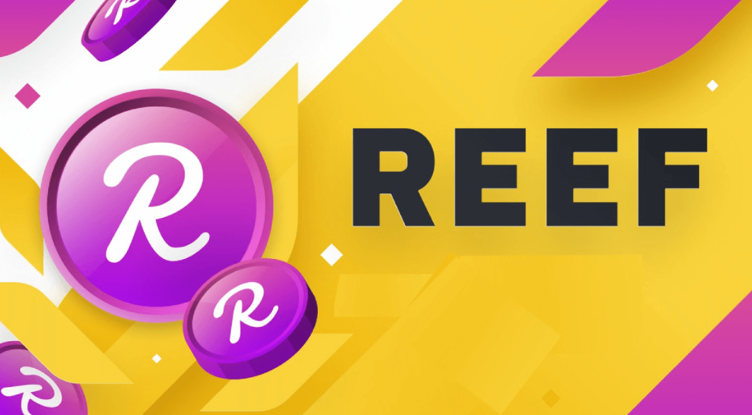 REEF Coin Nedir, Kim Tarafından Ne Zaman Kuruldu?